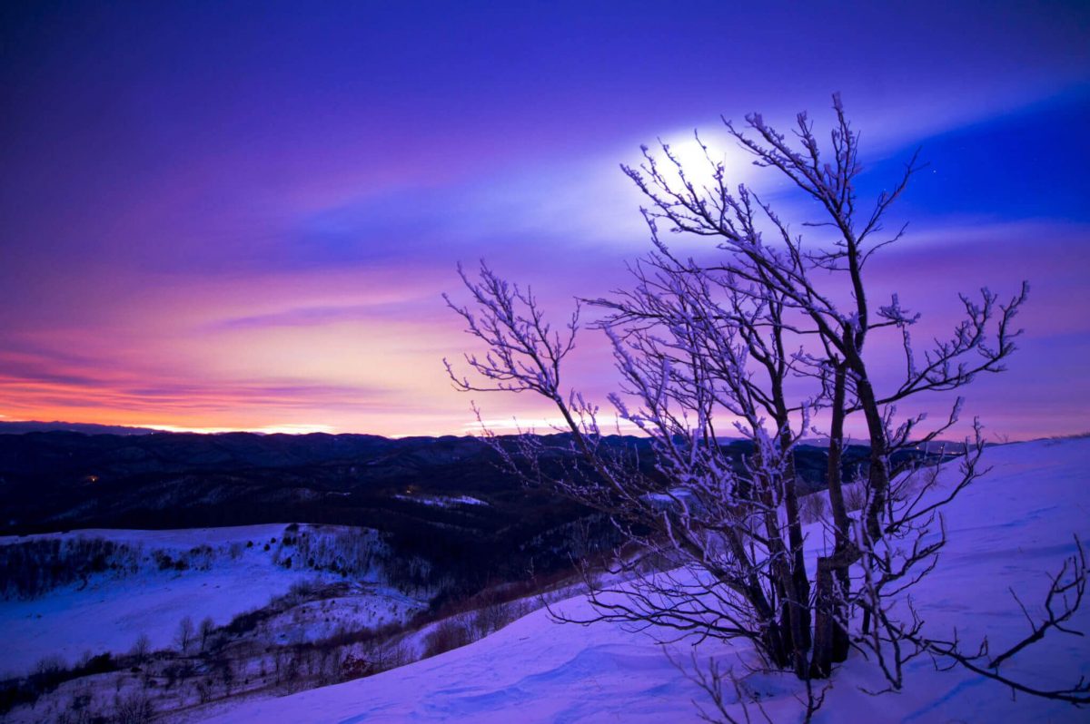 Winter Glow | Black Visual